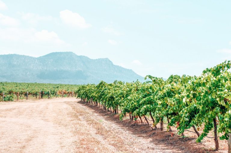 My Favourite Boutique Wineries in Australia - Jessica Pascoe