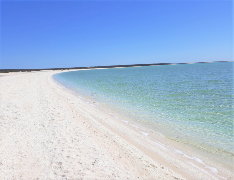TOP 10 Beaches to Add to Your Western Australia Itinerary - Jessica Pascoe